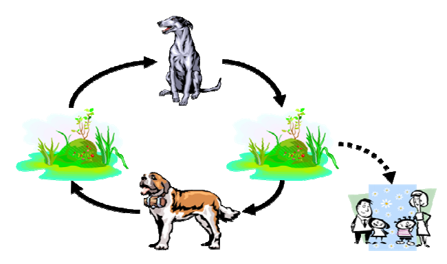 Centro de Controle de Zoonoses - Niterói/RJ: ZOONOSES: CONCEITO E ...