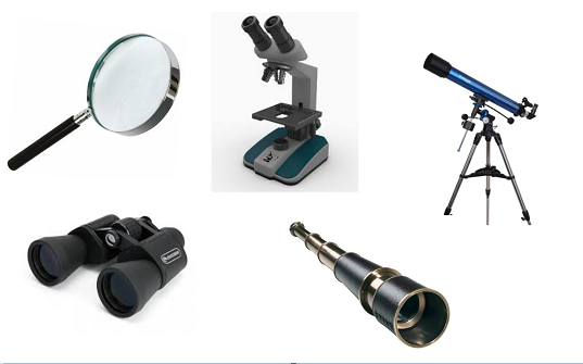 E.P N°39 "IGNACIO FERMIN RODRIGUEZ": CIENCIAS NATURALES 2ºA Y2ºB