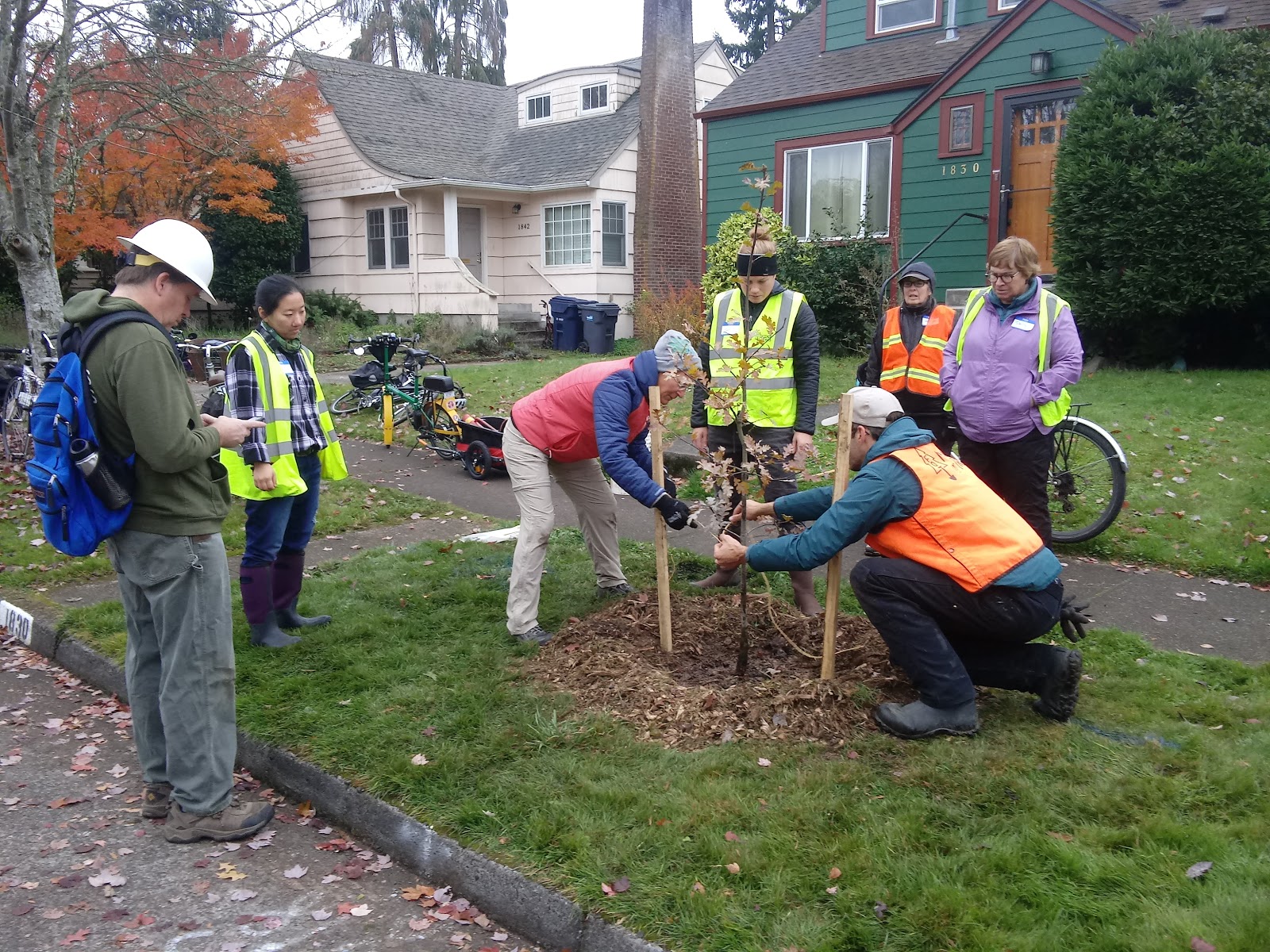 Kent's Bike Blog: Bicycle Tree Planting with Friends of Trees