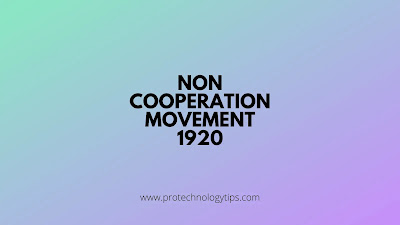 Non Cooperation Movement 1920 Causes Background and Activities UPSC