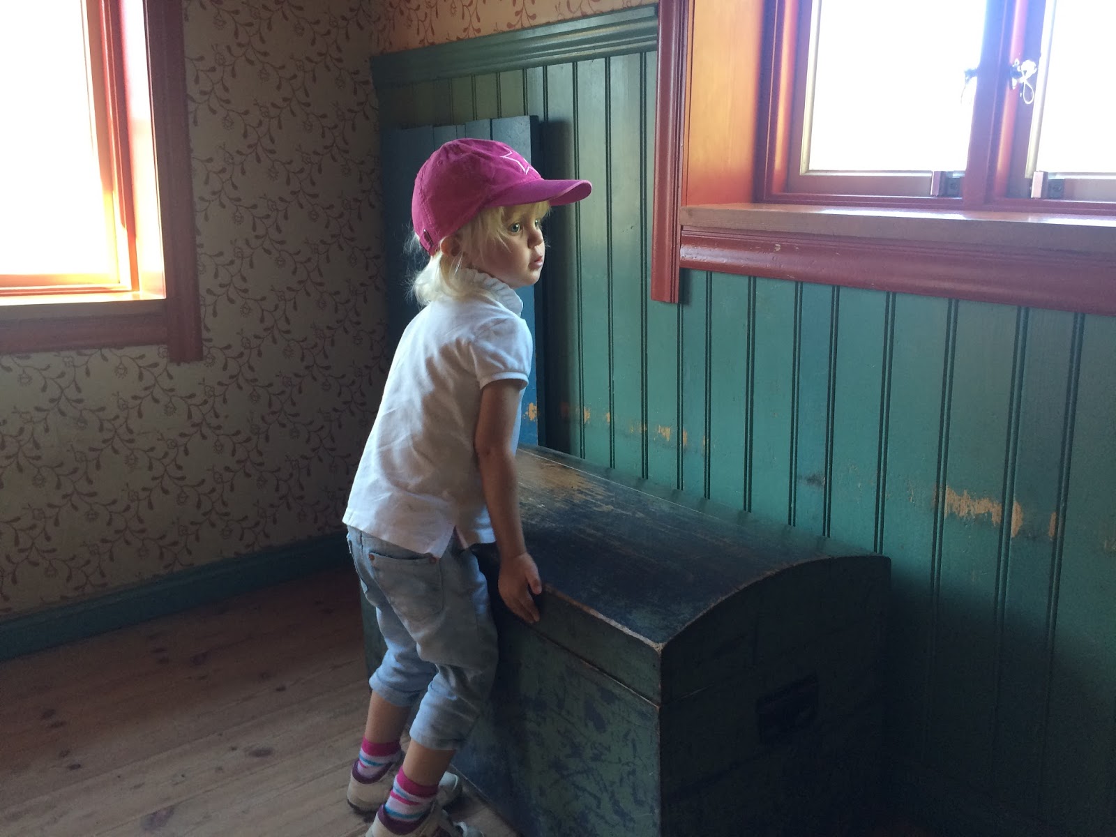 Mitt svenssonliv: Astrid Lindgrens värld