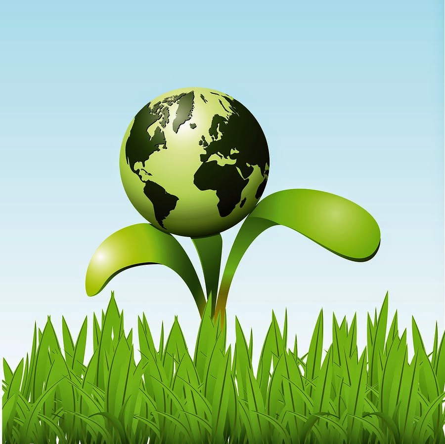 Biomass Briquette Plant Creates Green Ambiance On Earth ~ Live Green ...