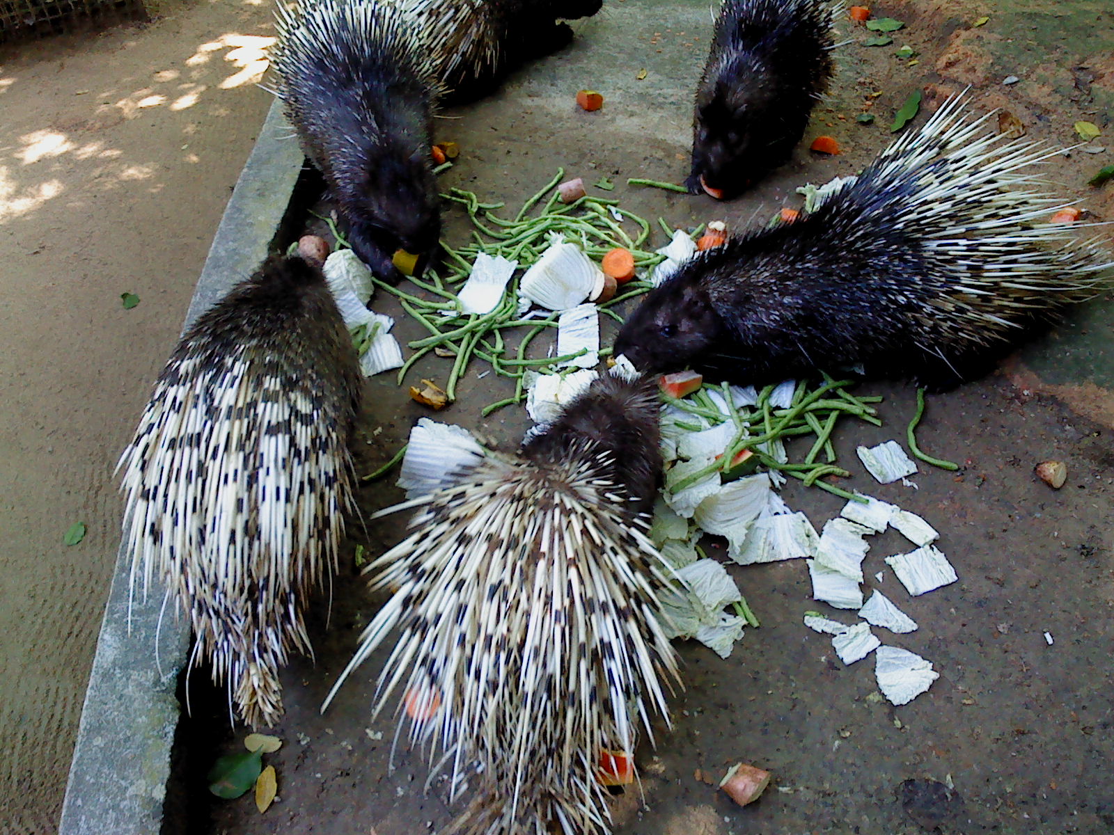 MY LIFE,,: zoo negara!!!!