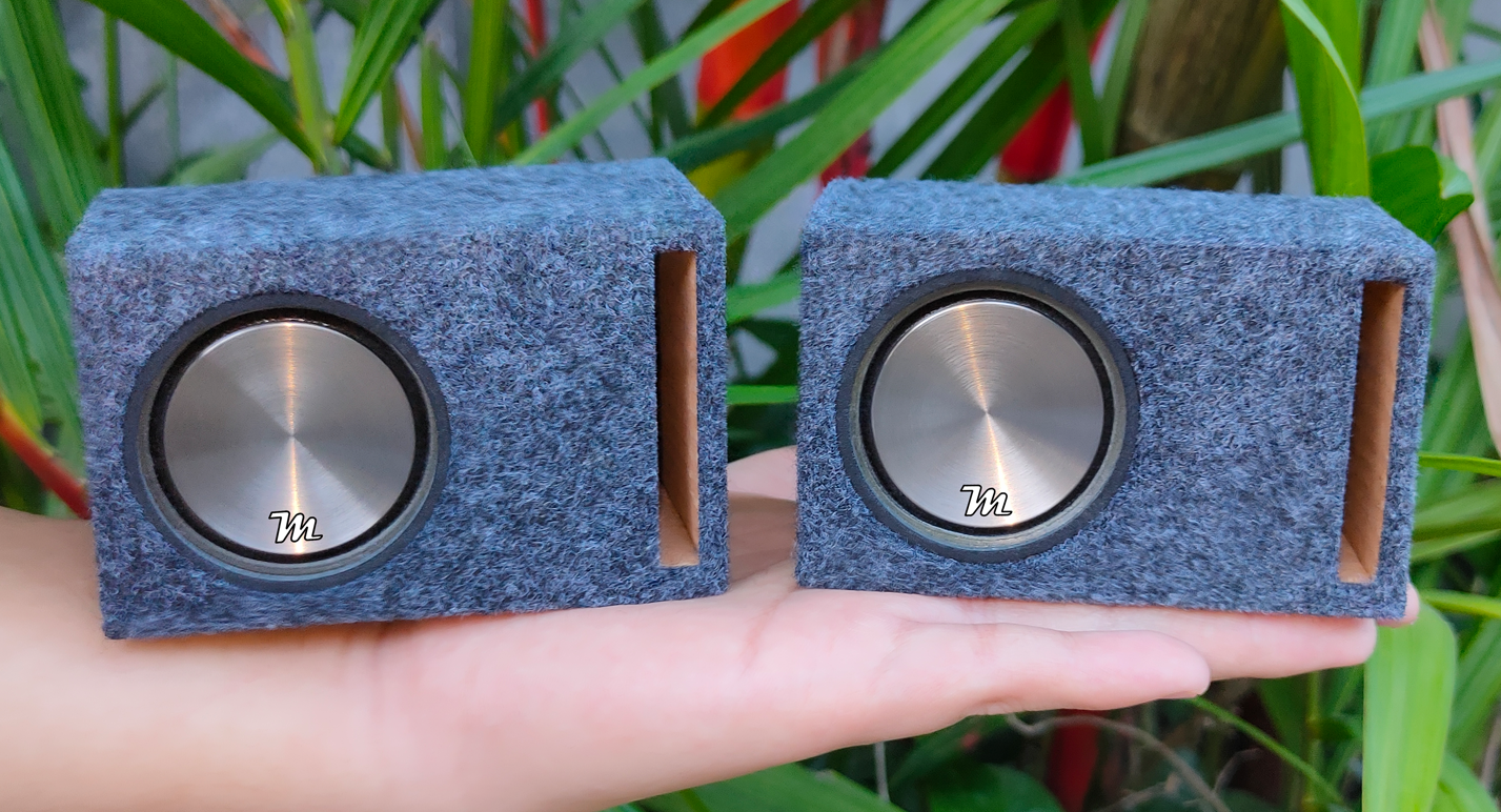 DIY Mini Subwoofer: Amazing Flex Twin Metal Bass Subwoofer