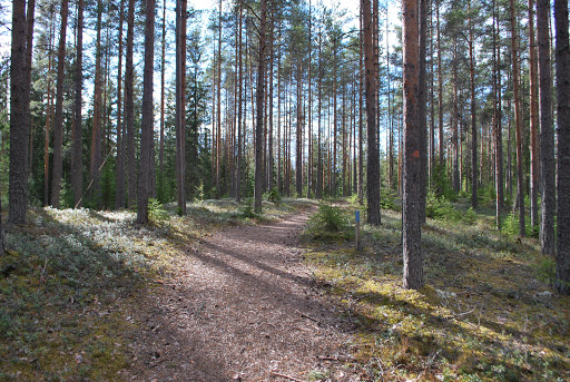 Aate-Pekan polku Parikkalassa