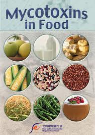 Toxically Speaking: What are mycotoxins?