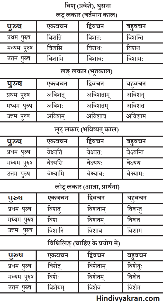 विश् धातु के रूप संस्कृत में – Vish Dhatu Roop In Sanskrit | HindiVyakran