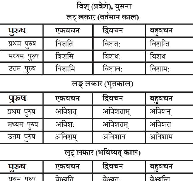 विश् धातु के रूप संस्कृत में – Vish Dhatu Roop In Sanskrit | HindiVyakran