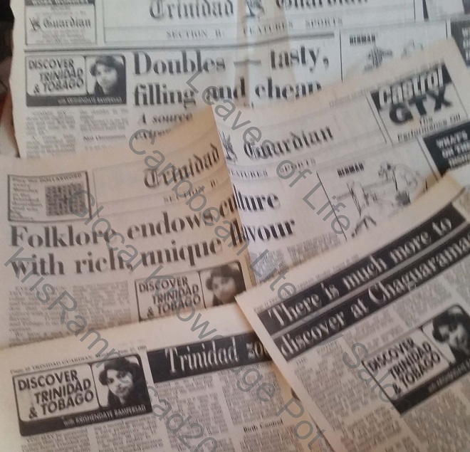 Demokrissy: The ghosts of journalism past For Therese Mills RIP