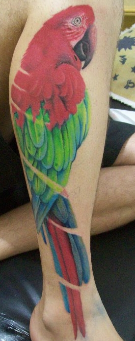 Arara Tattoos
