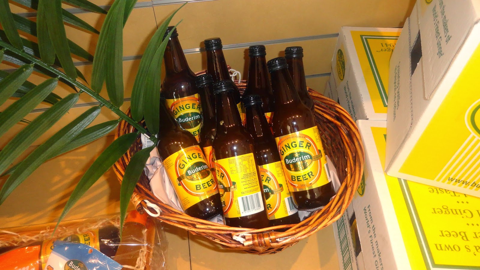 Fiji Ginger at Budrim Ginger-Worlds Largest Ginger Factory | AGRONET FIJI