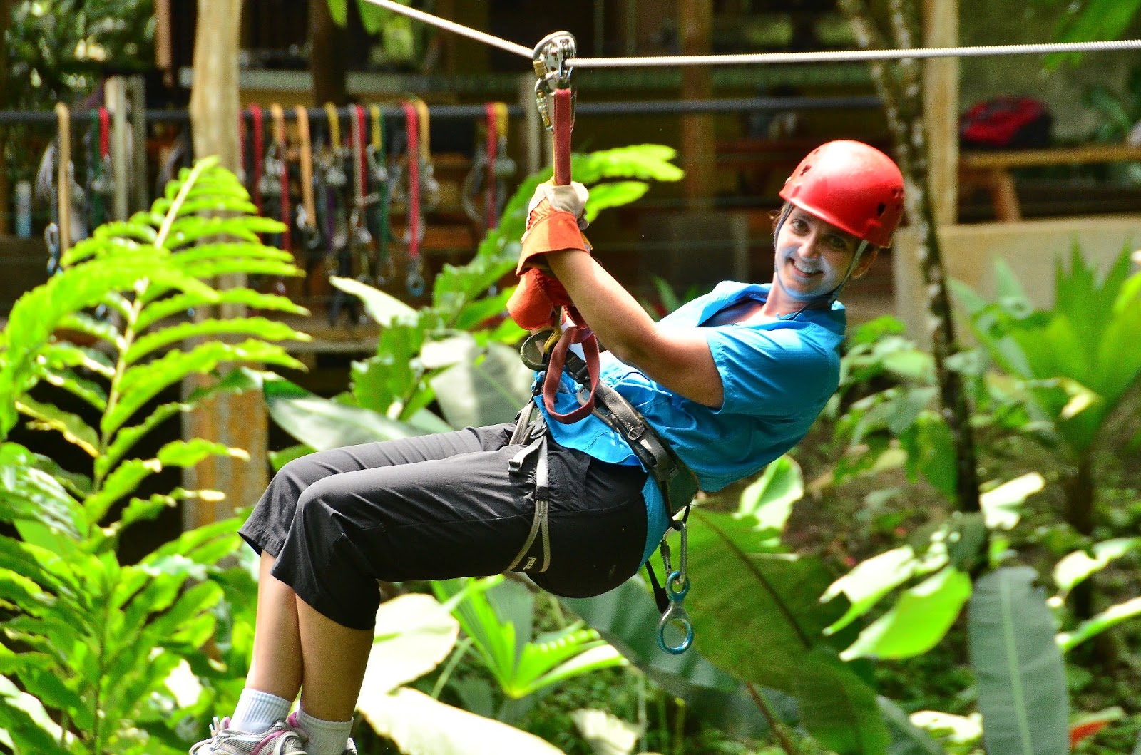 Vanessa's Blog and other random stuff: Day 5--Canopy Safari Tours!!!