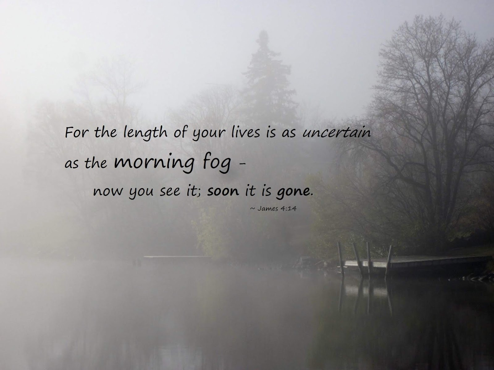 Thro' a glass darkly ...: our life is like a vapour ...