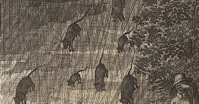 Por Otra Tinta.: EL PERRO SABIO..