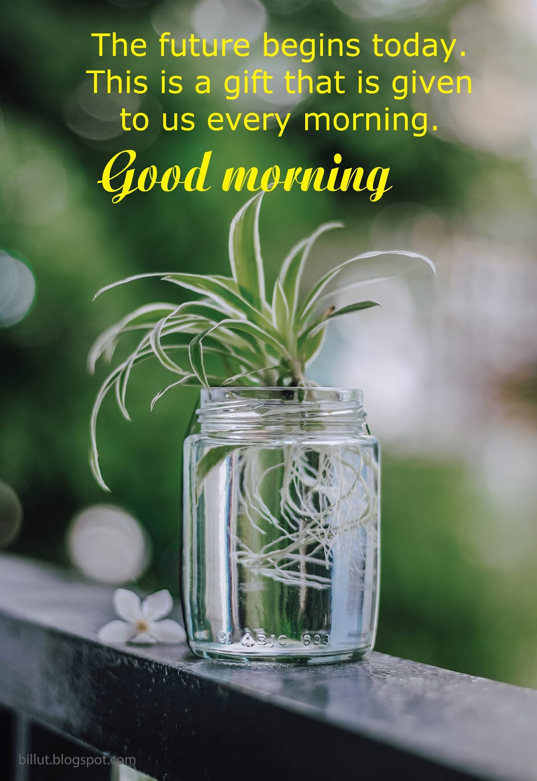 Good Morning Quotes/Message