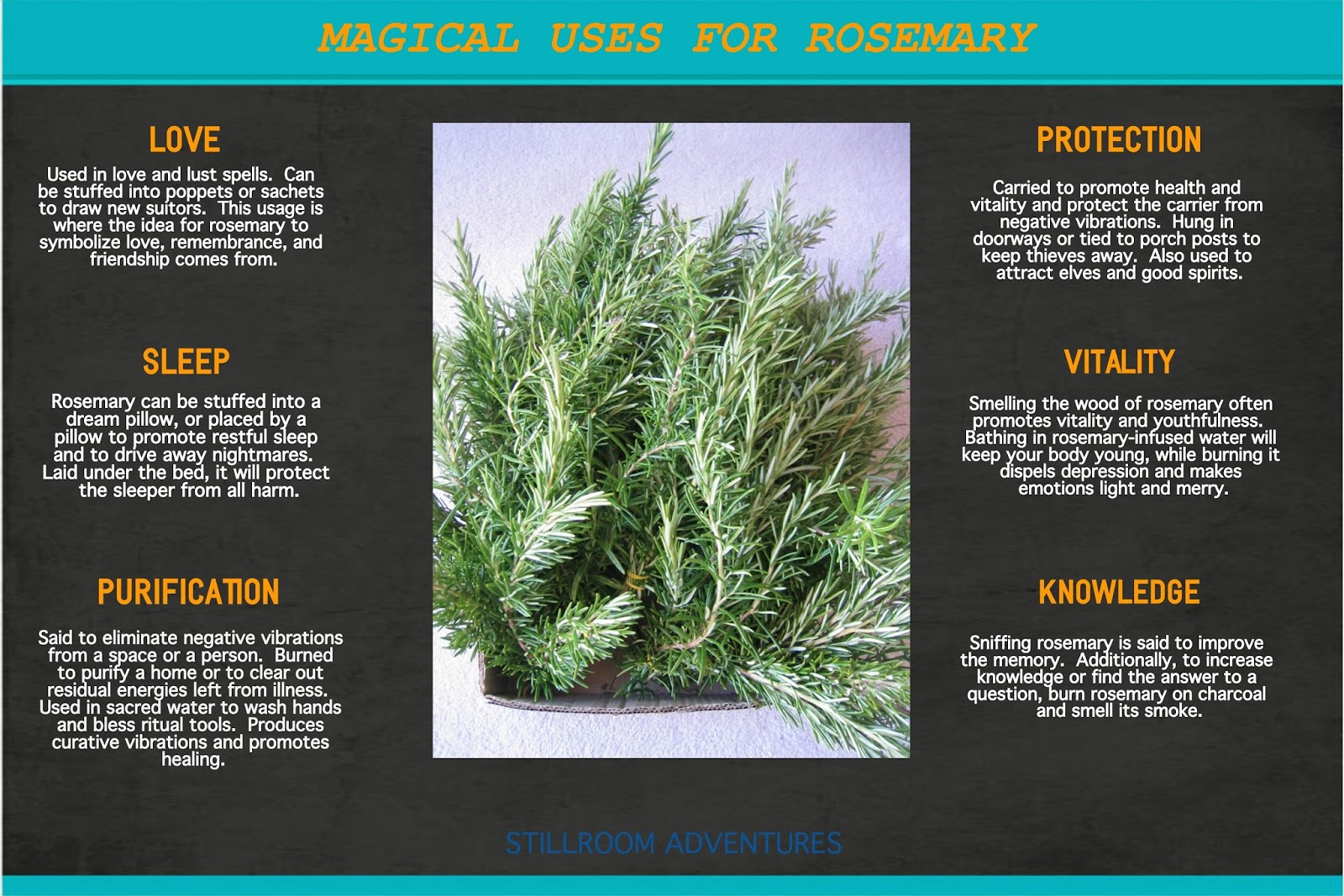 Rosemary--The Ultimate Guide