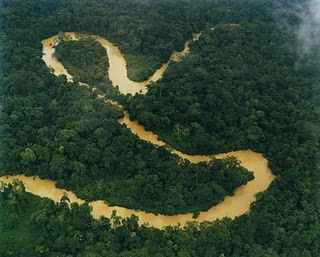 amazon-river_tour.jpg