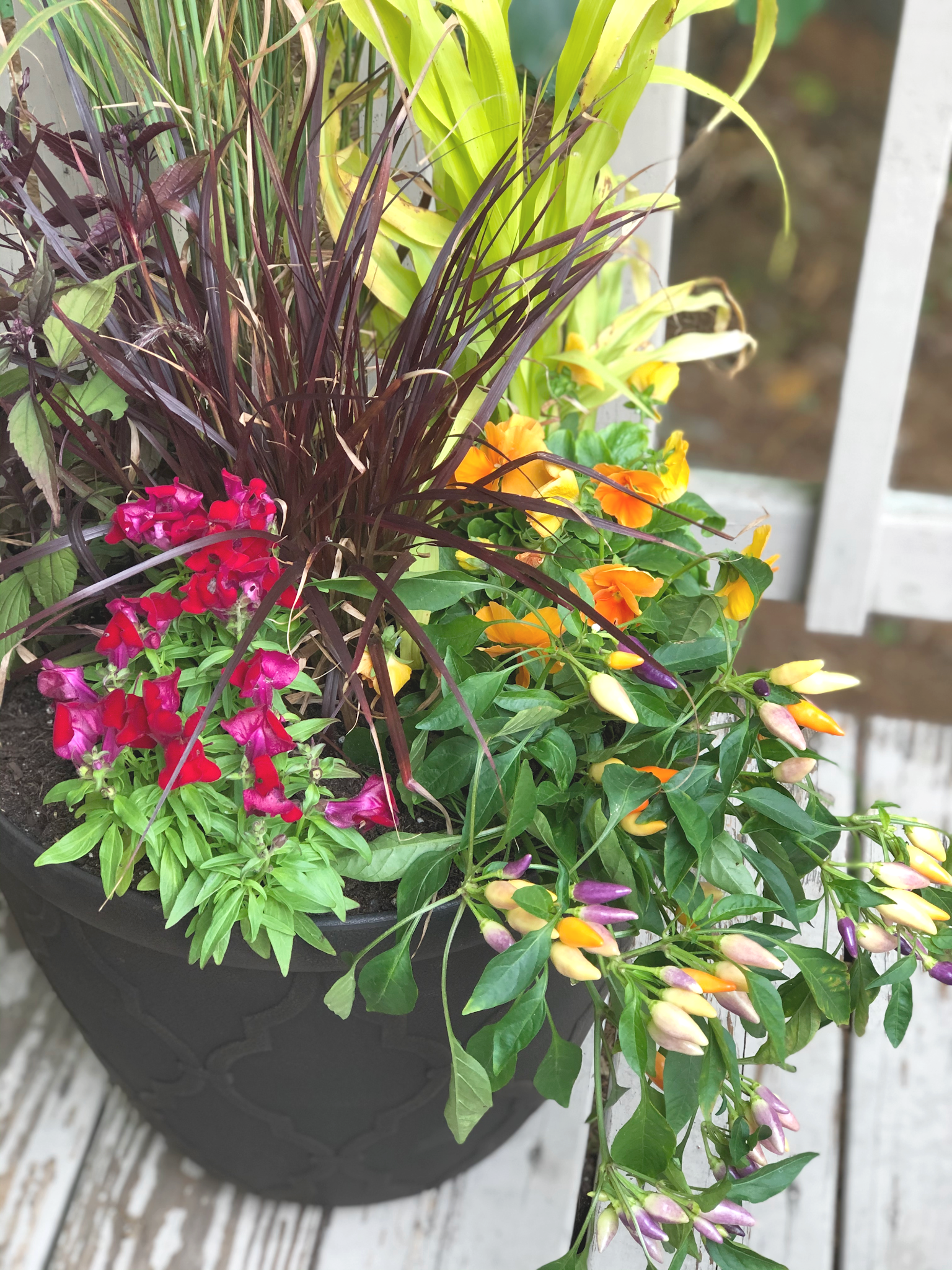 DesignsandEvents: A Floral Recipe for a Fall Planter