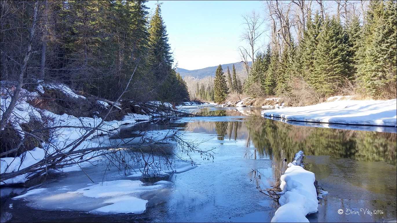 Northern Interior British Columbia: Spring On The Bulkley River Houston ...