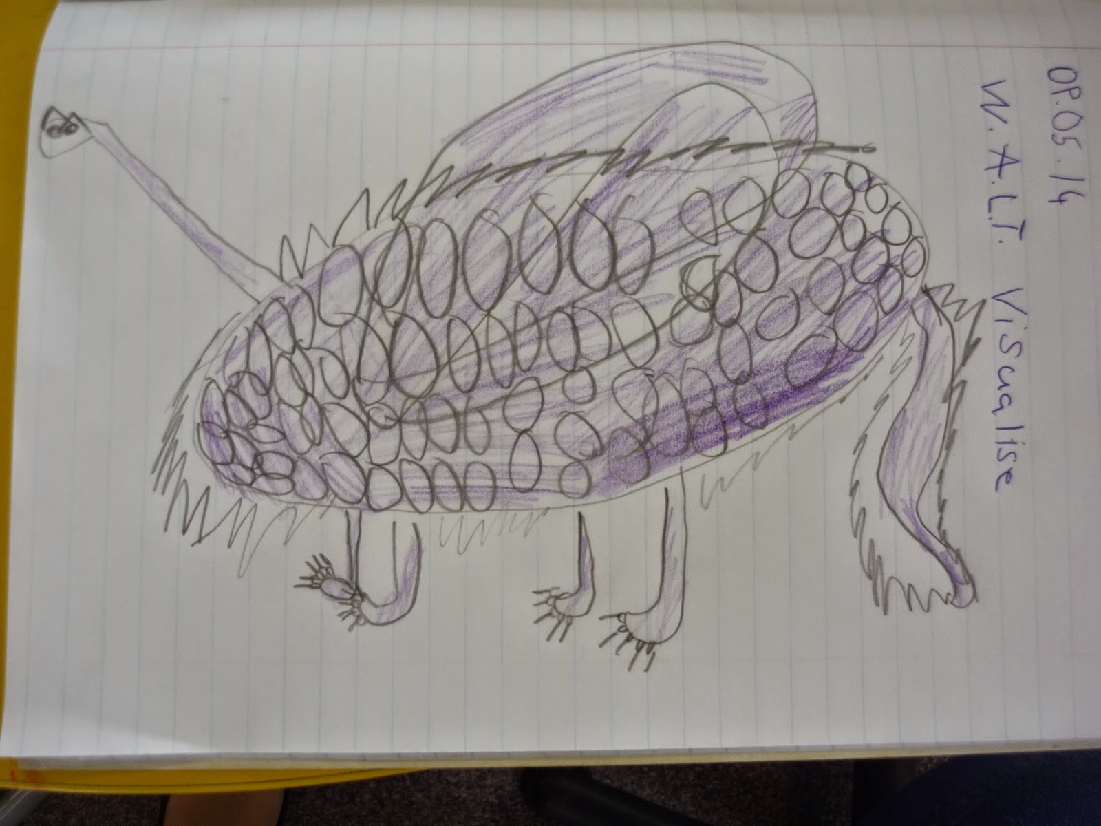 St Thomas Superstars!: What is a Nogard?