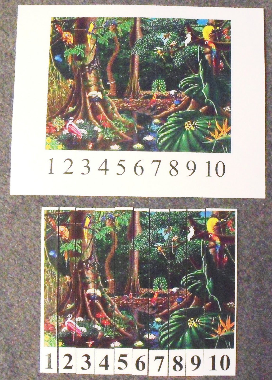 Nurturing Naters with learning activities at home: rain forest number ...