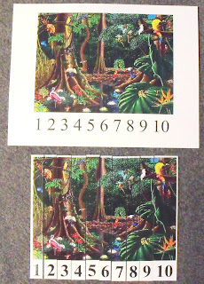 Nurturing Naters with learning activities at home: rain forest number ...