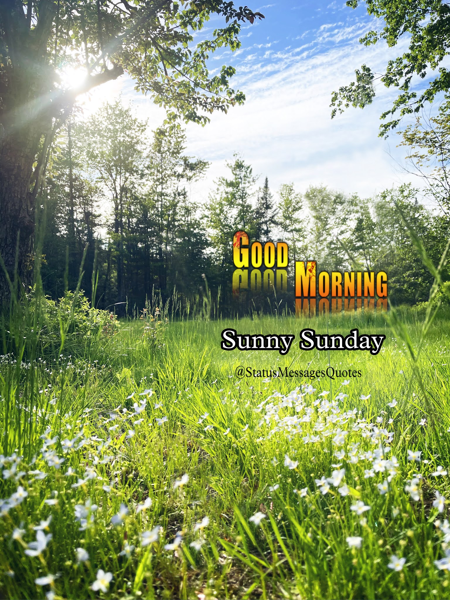 Start your day with smile! Free Good Morning Sunday Images and Quotes