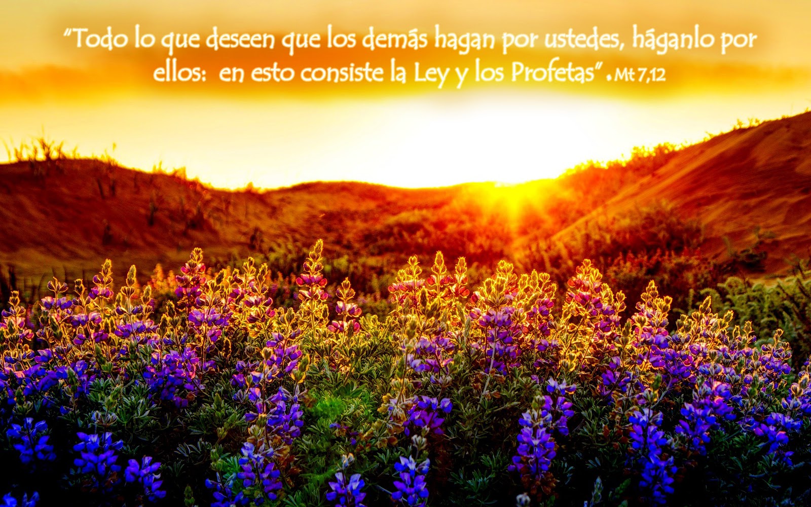 EVANGELIO DE MATEO: "TODO LO QUE..." Mt 7,12