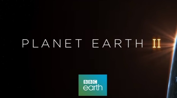 Florence Entertainment: Planet Earth II: Official Extended Trailer ...