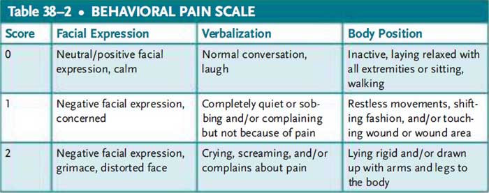 Pain Control and Sedation Case File