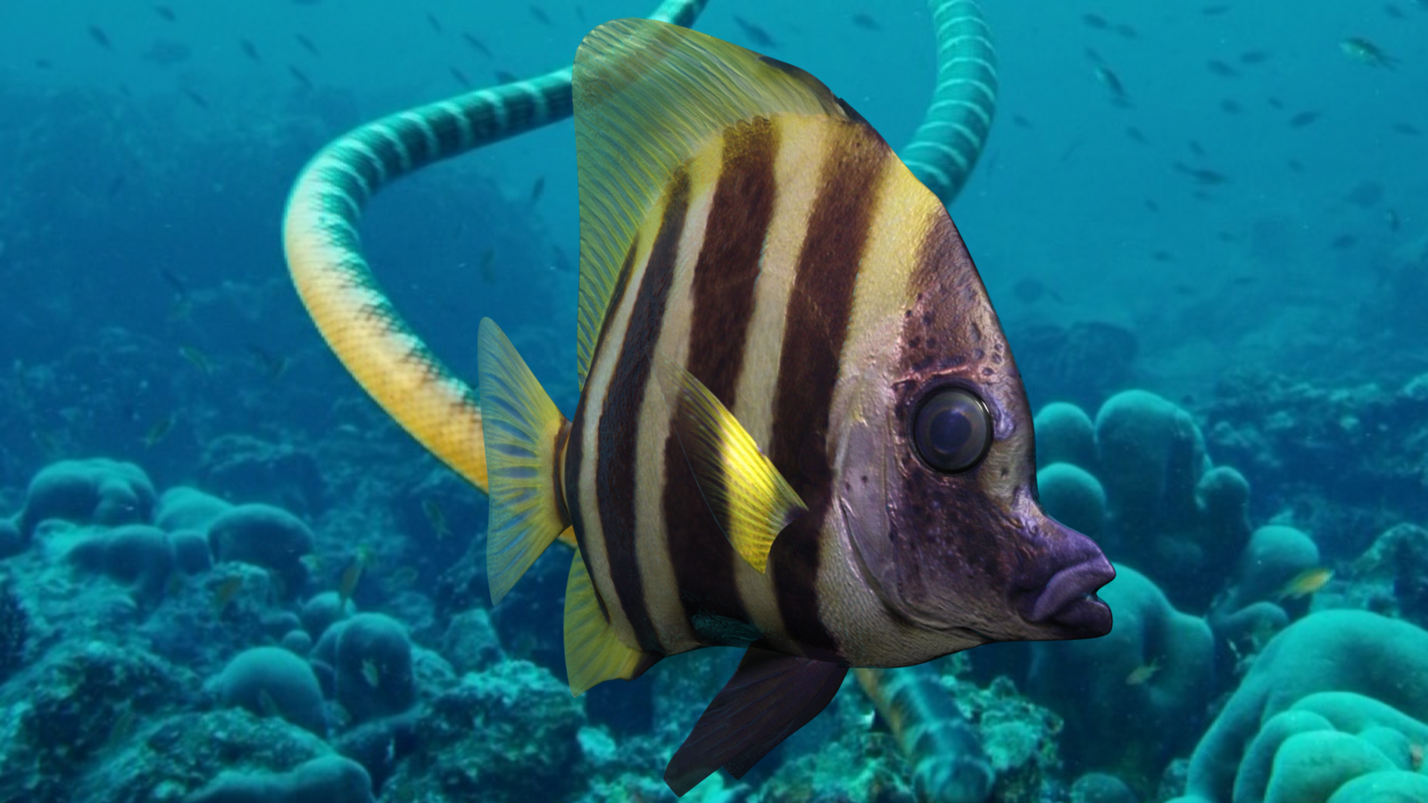 .: FISH- FINAL RENDER