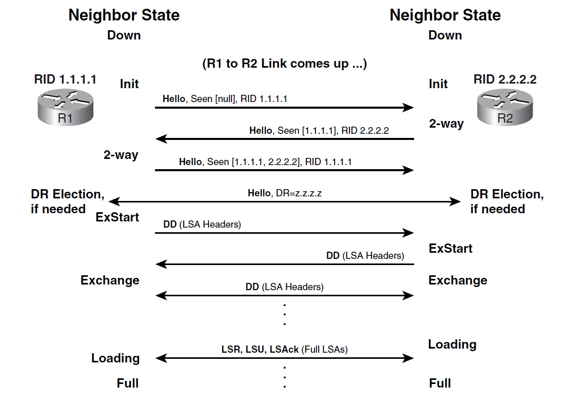 Understanding OSPF Routing | AnalysisMan