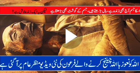 A Real Story Of Firon - Style Hunt World