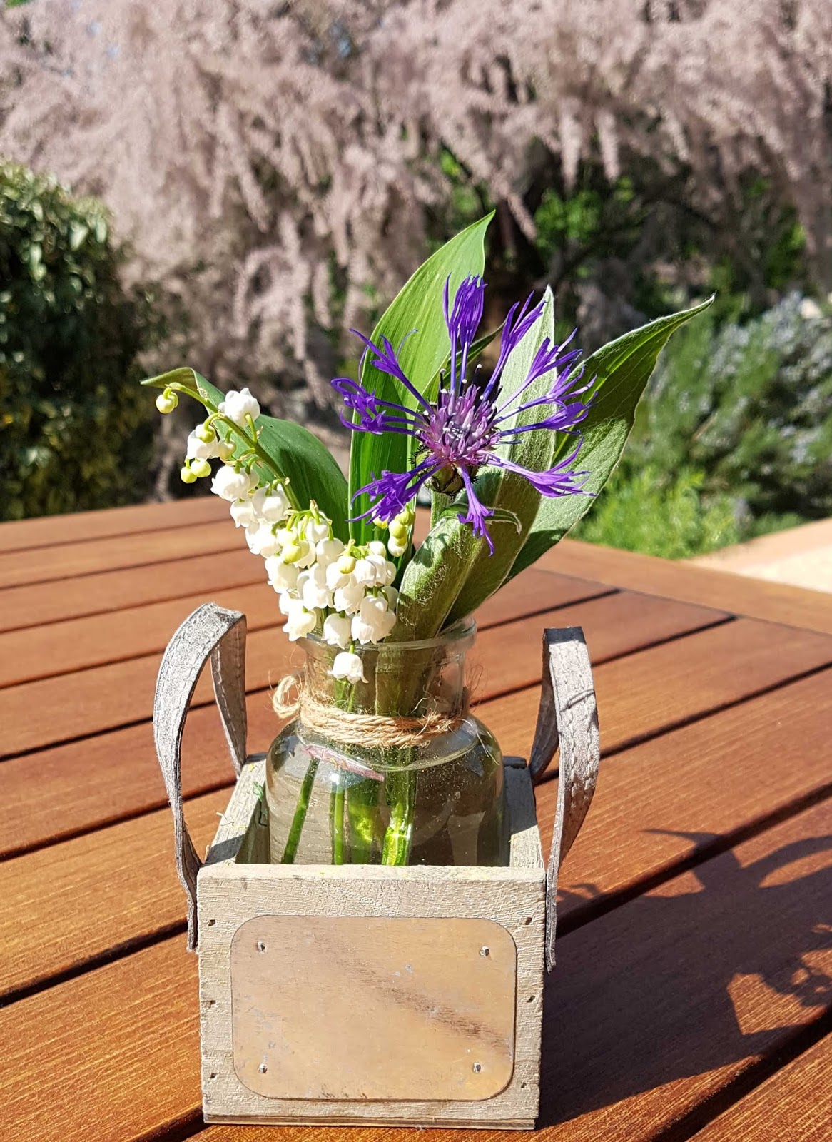 Les Petites Croix de Haute-Savoie: Premier mai