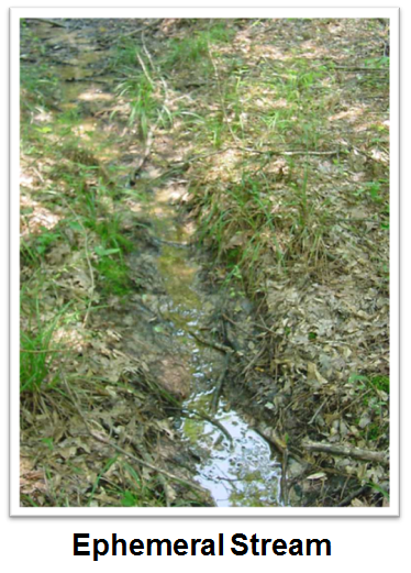 Texas A&M Forest Service: Water Resources: July 2007
