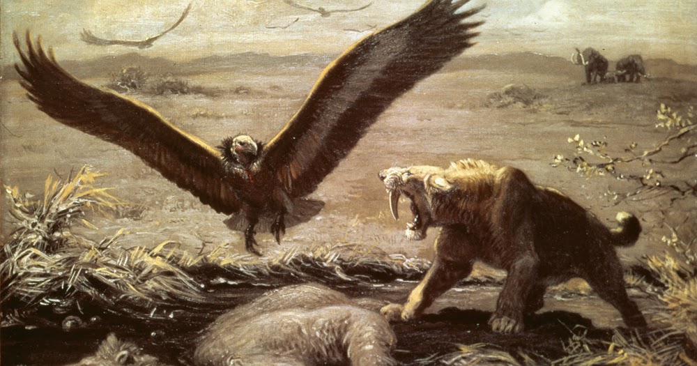 Mark P. Witton's Blog: We need to talk about teratorns