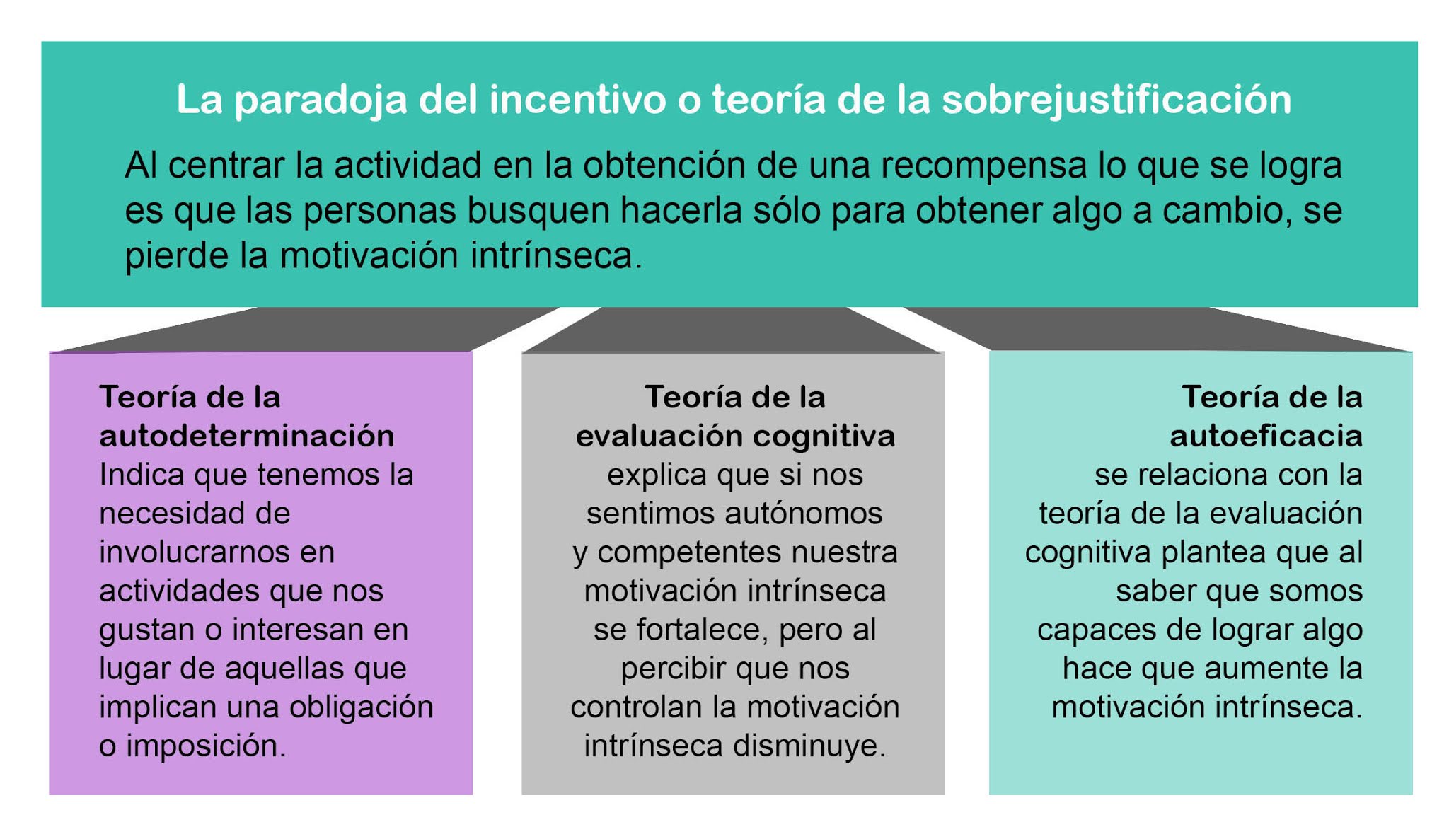 🚩 Recompensas y castigos ¿Cuándo sí y cuándo no?