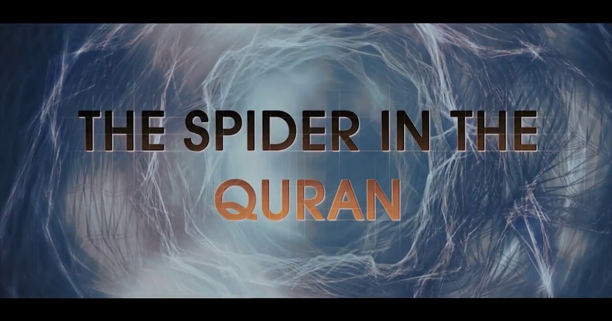 The Quran and the Miracle of the Spider