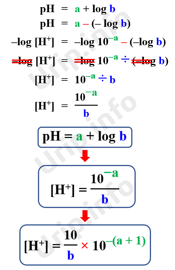 Tips Konversi pH atau pOH ke [H⁺] dan [OH⁻] - Urip dot Info