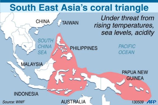 The Coral Reefs of Southeast Asia: The Coral Triangle
