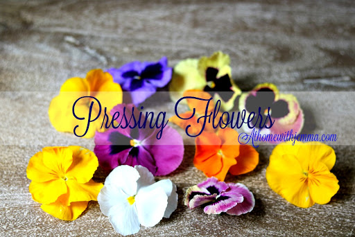 Pressing Flowers And Leaves - At Home with Jemma