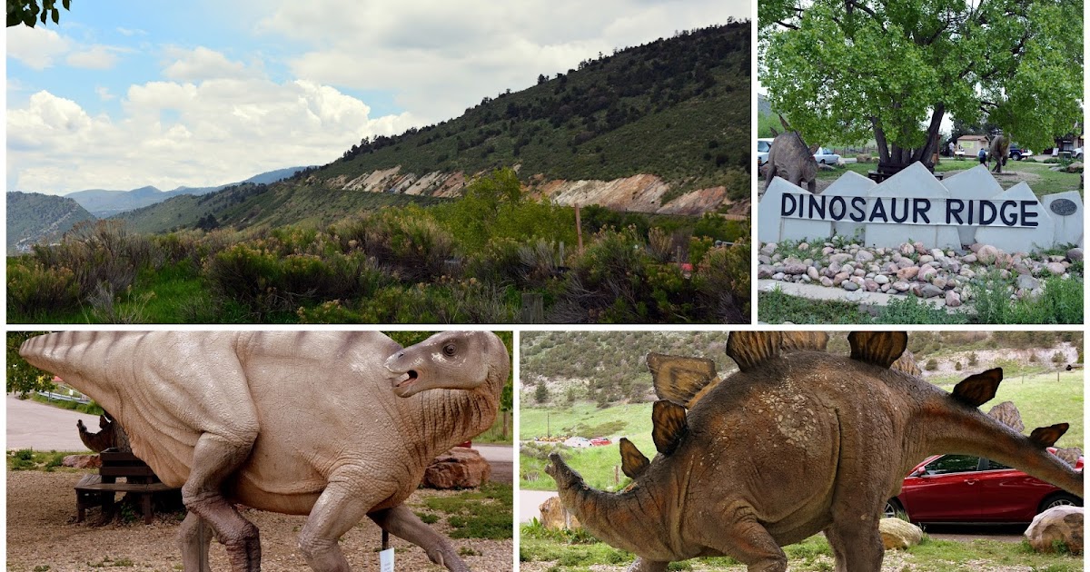 Mille Fiori Favoriti: Dinosaur Ridge