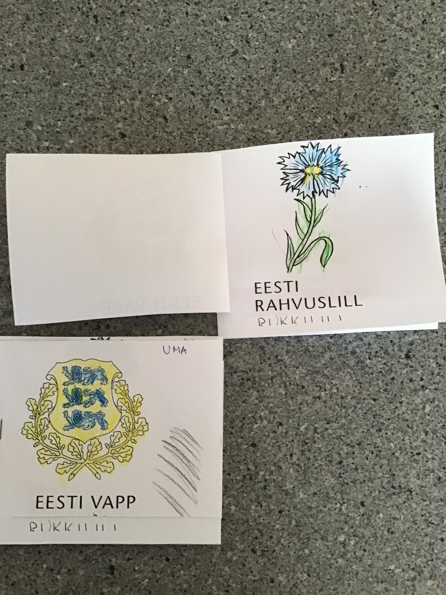 Minu Eestimaa raamat