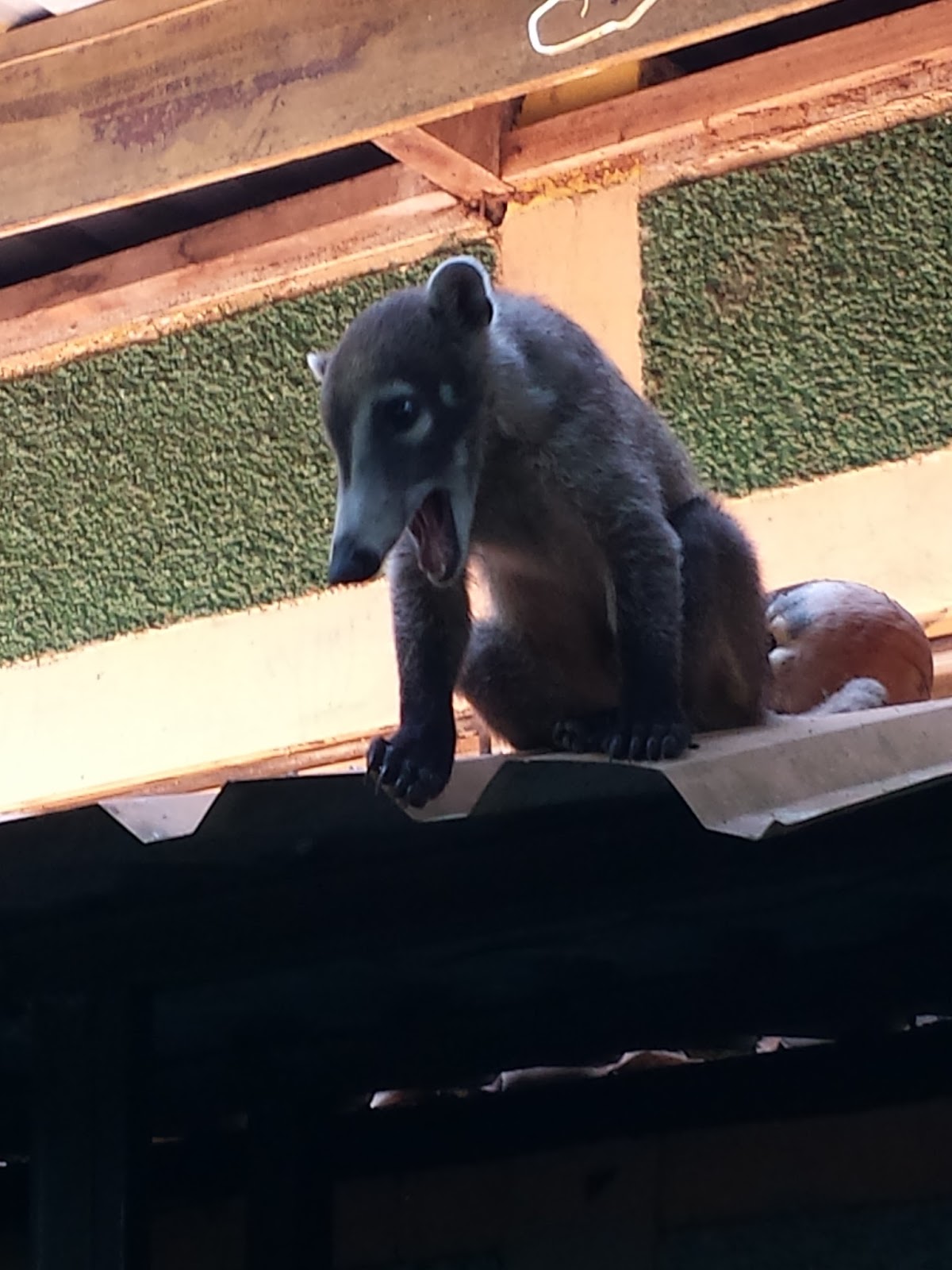 La Estación del Prado. : Parque Nacional Walter Thilo Deininger