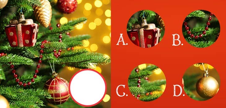 VideoFacts Christmas Puzzle Answers Score 100 VideoFacts Christmas Puzzle Answers Score 100
