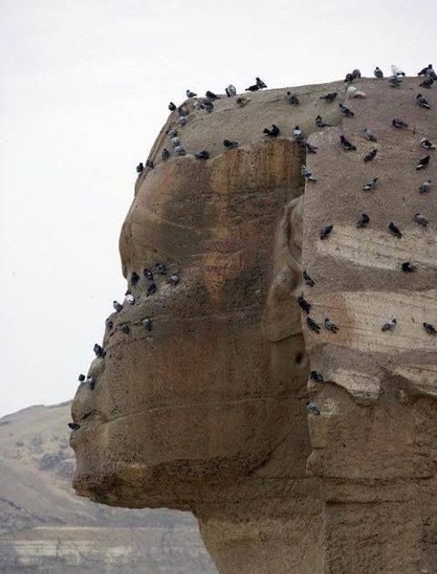 KING OF EGYPT tours: THE SPHINX.