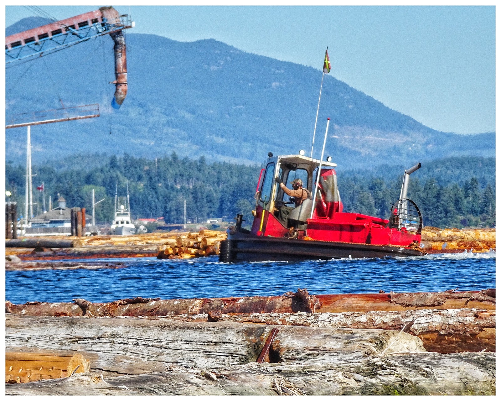 Kayaking, Biking, and Walking: k170718 Ladysmith - Boom Boats and Boat ...
