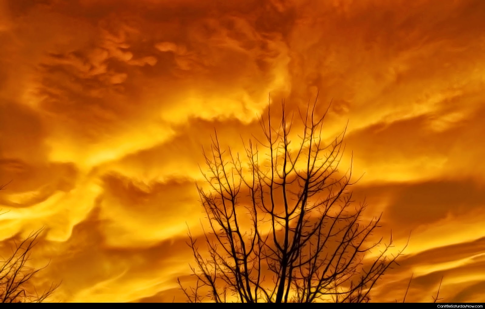 Orange Color Photography Inspiration ~ Pixekite