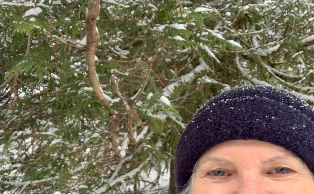 Setu 🌉 सेतु: Poetry: Sarah Rauch