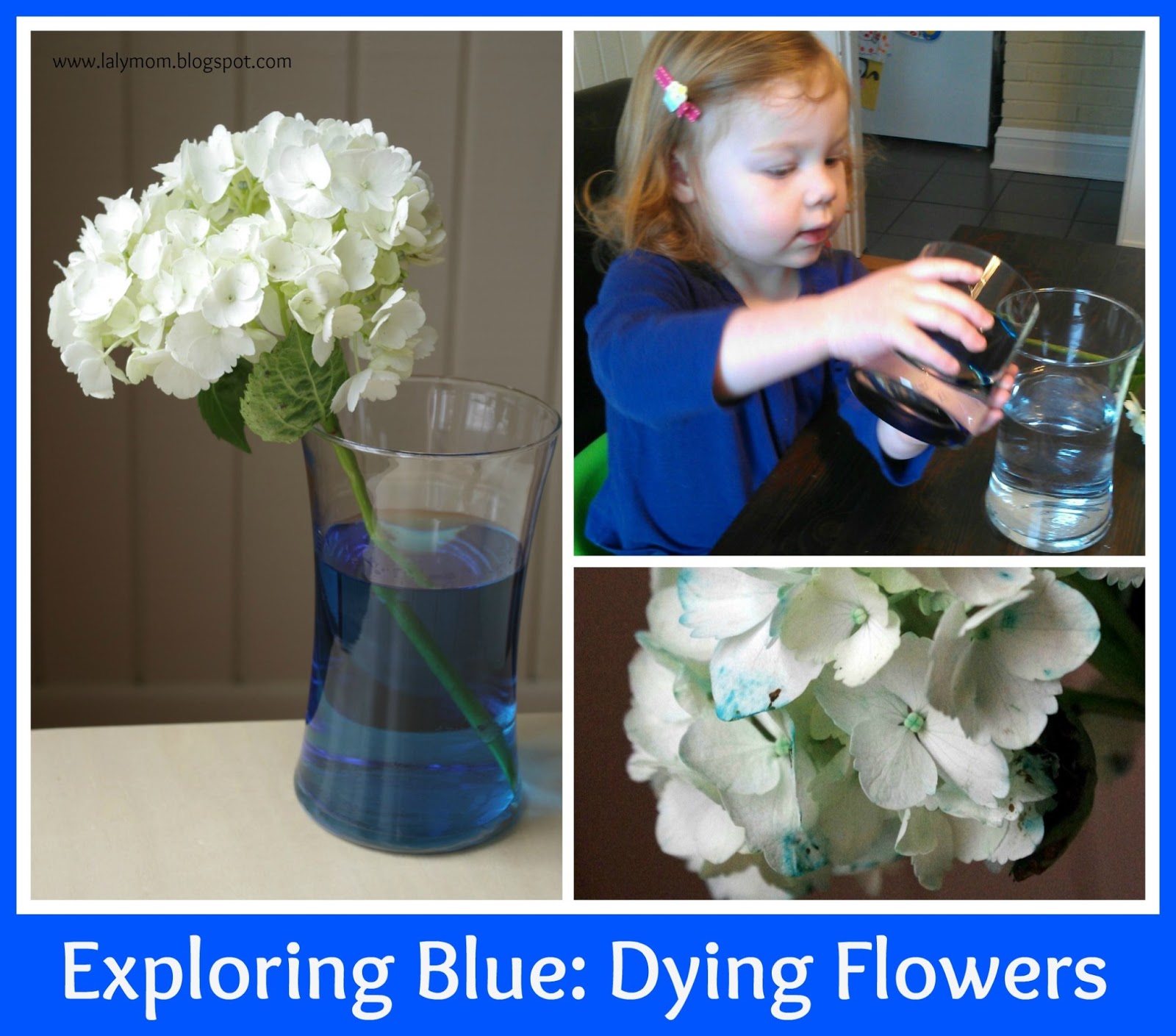 Exploring the Color Blue - LalyMom